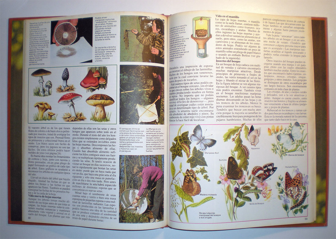 ‘La naturaleza que nos rodea’ por Michael Chinery (1980) – El ...