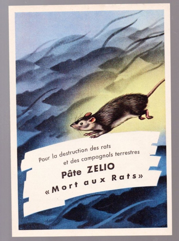 Granos y pasta Zelio de Bayer – El desinsectador y desratizador