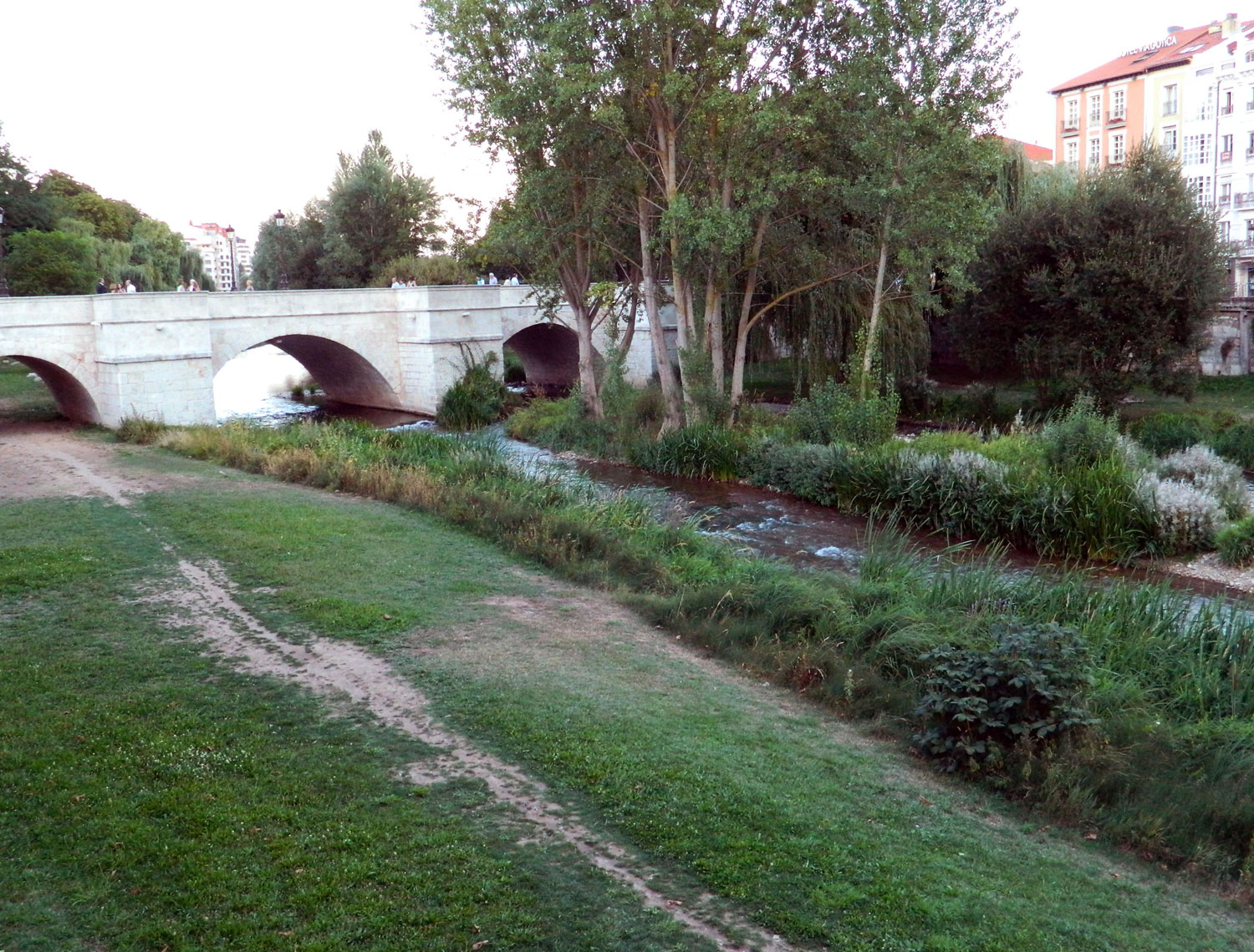 Una mosca negra, Simulium (Diptera, Simuliidae), en Burgos – El ...