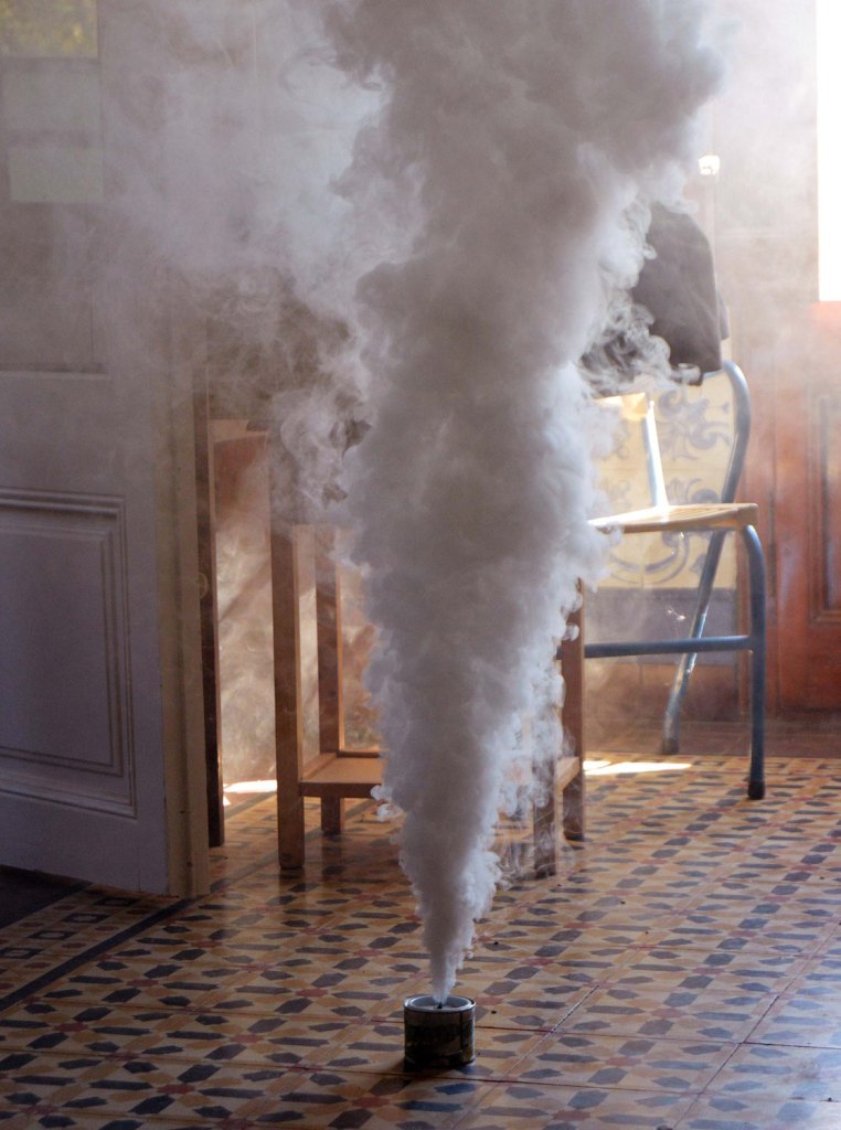 Elogio del humo – El desinsectador y desratizador