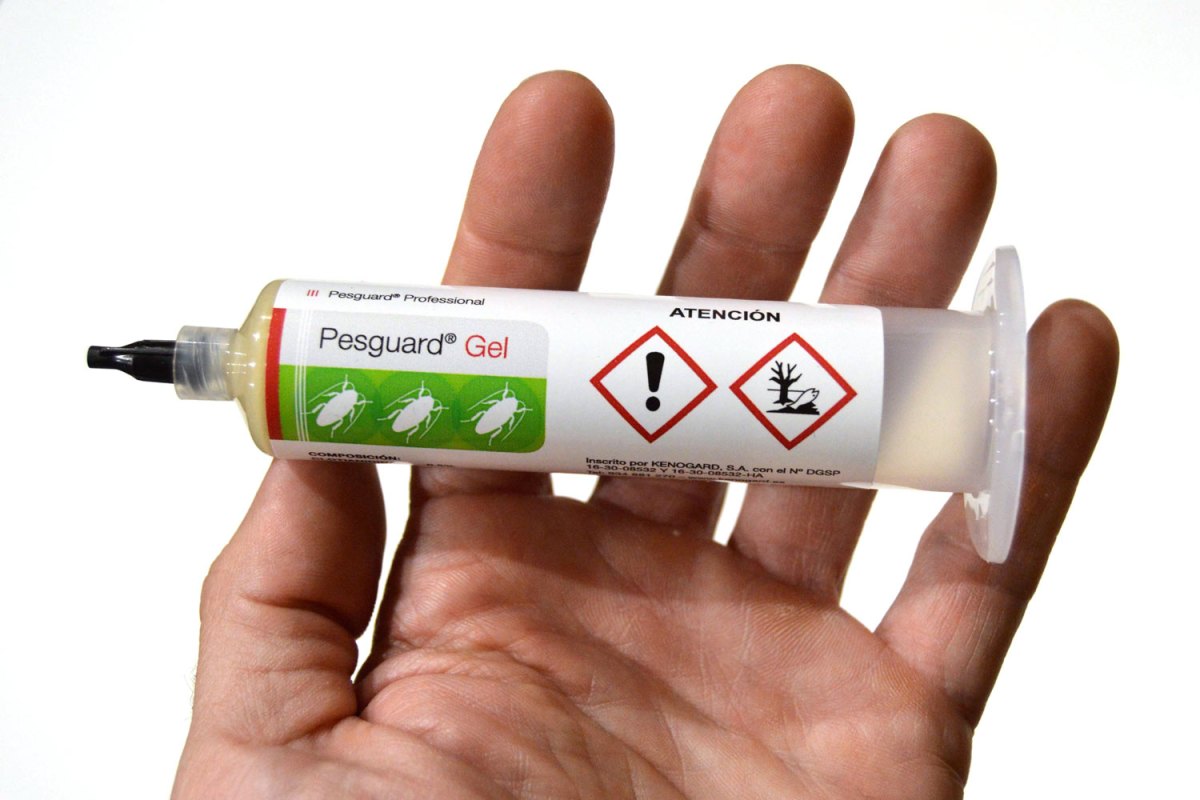 Pesguard Gel, un nuevo gel contra cucarachas – El desinsectador y ...