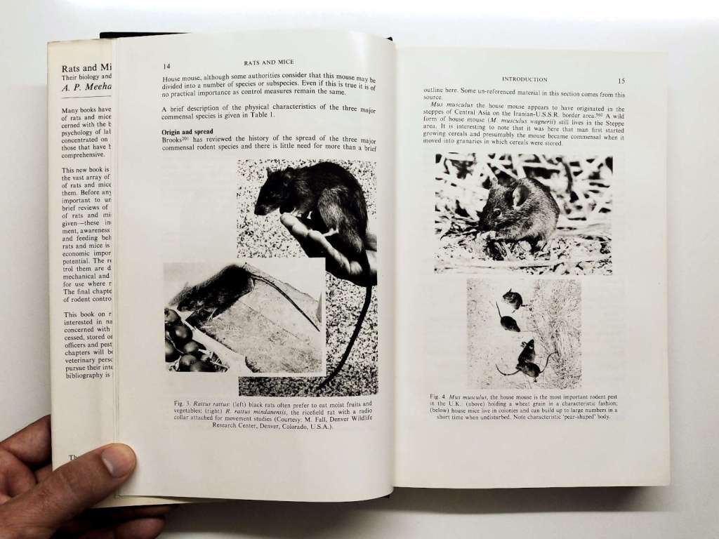 ‘Rats and mice’, por Adrian P. Meehan (1984) – El desinsectador y ...