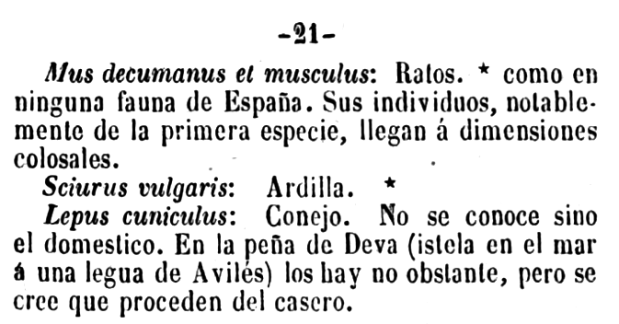 Notas sobre la rata negra (Rattus rattus) y la rata de alcantarilla (R ...