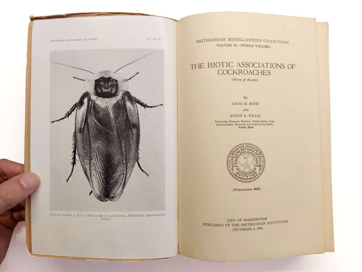 ‘The biotic associations of cockraches’, por Roth & Willis (1960) – El ...